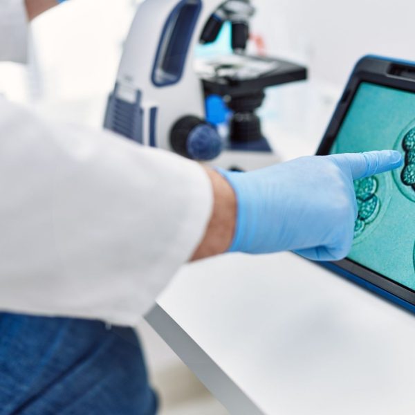 What Is Egg, Sperm, and Embryo Donation? A Guide to Donor IVF ...