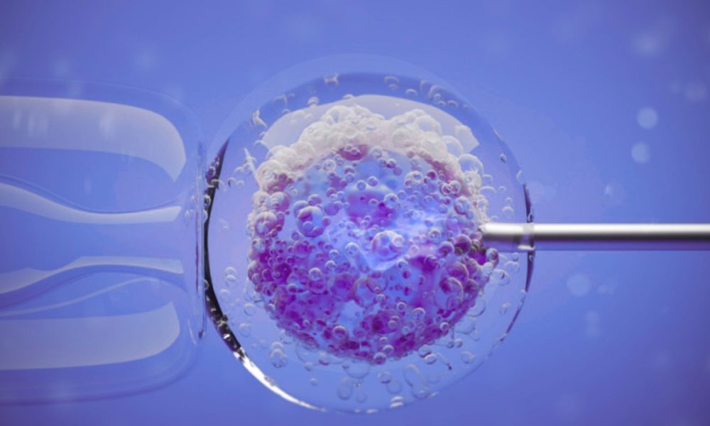 EmbryoGlue® - GynoLife IVF